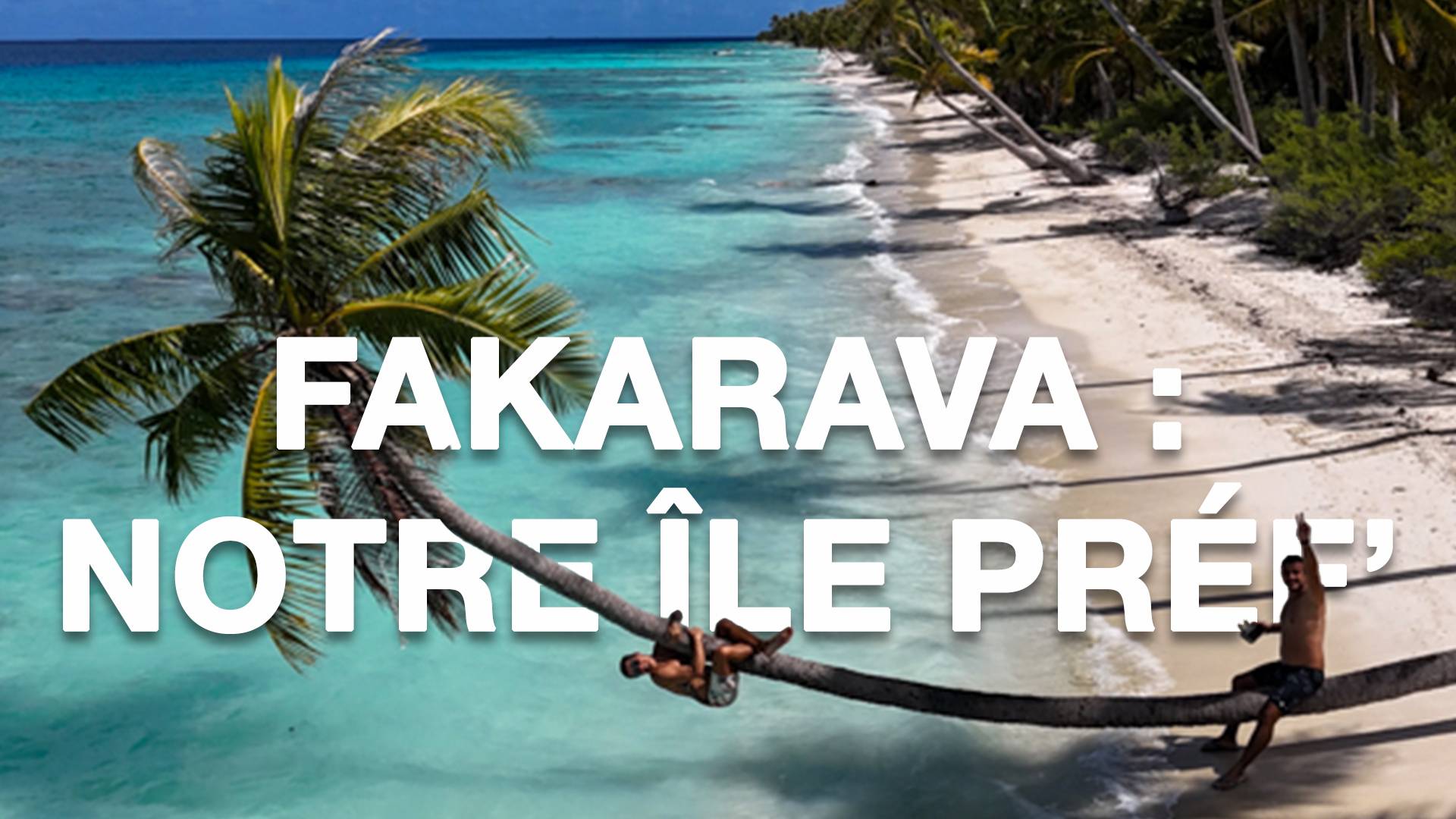Fakarava Nord : notre guide entre plongée et farniente